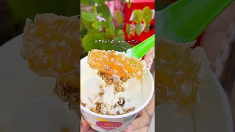 【新大久保 YOAJUNG(ヨアジョン)】韓国で大人気のヨーグルトアイス専門店が8月26日ついに新大久保にニューオープン！みんなずっと楽しみに ...
